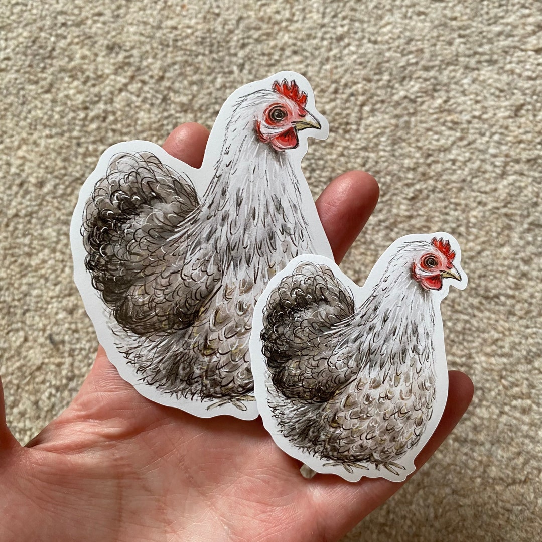 PEKIN BANTAM CHICKEN Sticker - Illustration Catherine Redgate Paper ...