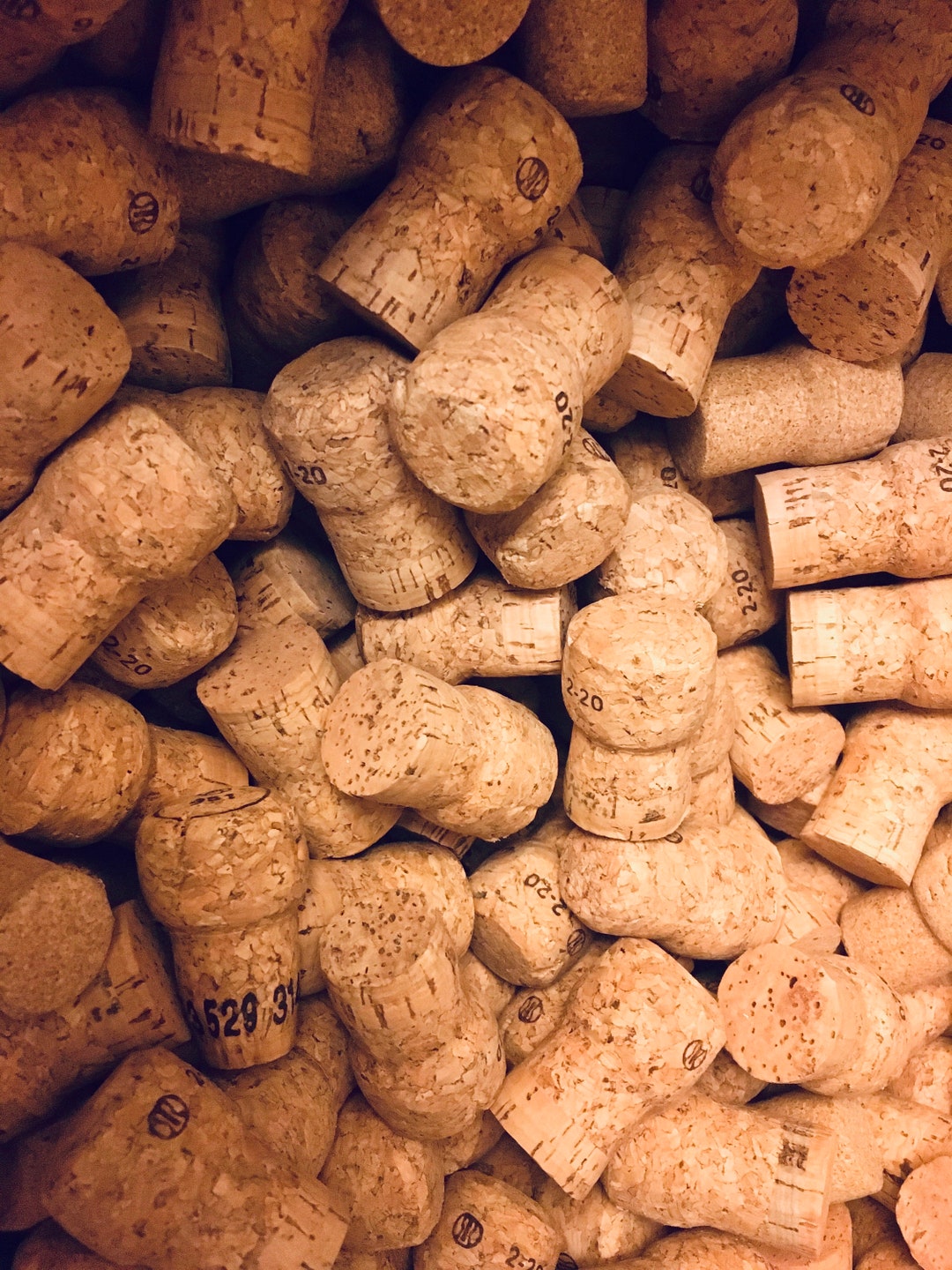 Champagne Corks X 100, for Crafts and Decor - Etsy
