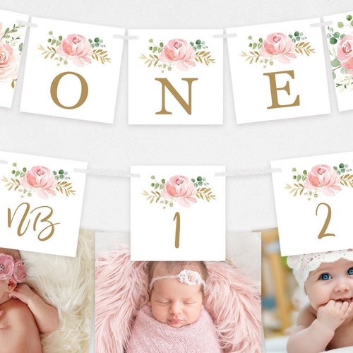 Baby Milestone Banner Set Newborn to 12 Months Banner | Etsy