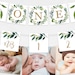 Printable Baby Milestone Banner Set, Newborn to 12 Months Banner, "one ...