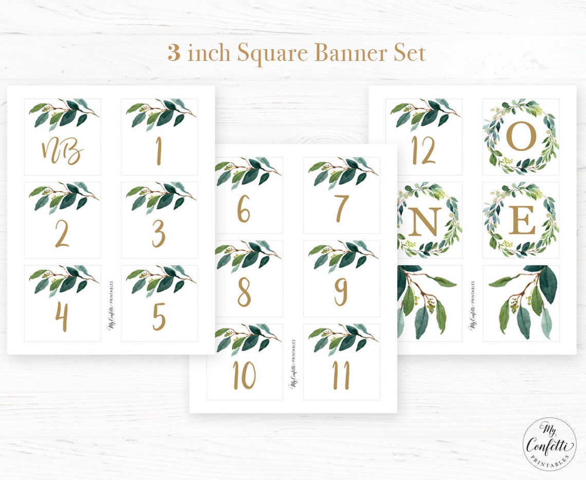 Printable Baby Milestone Banner Set, Newborn to 12 Months Banner, "one ...