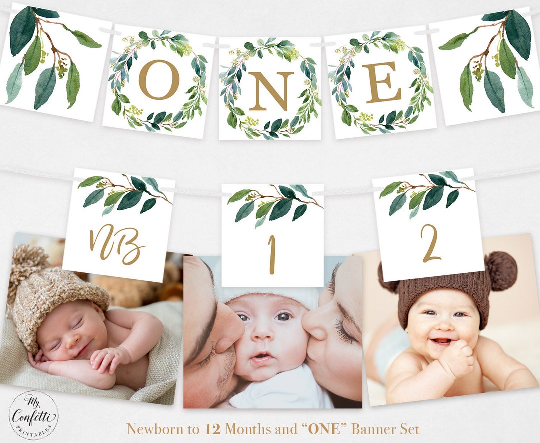 Printable Baby Milestone Banner Set, Newborn to 12 Months Banner, "one ...