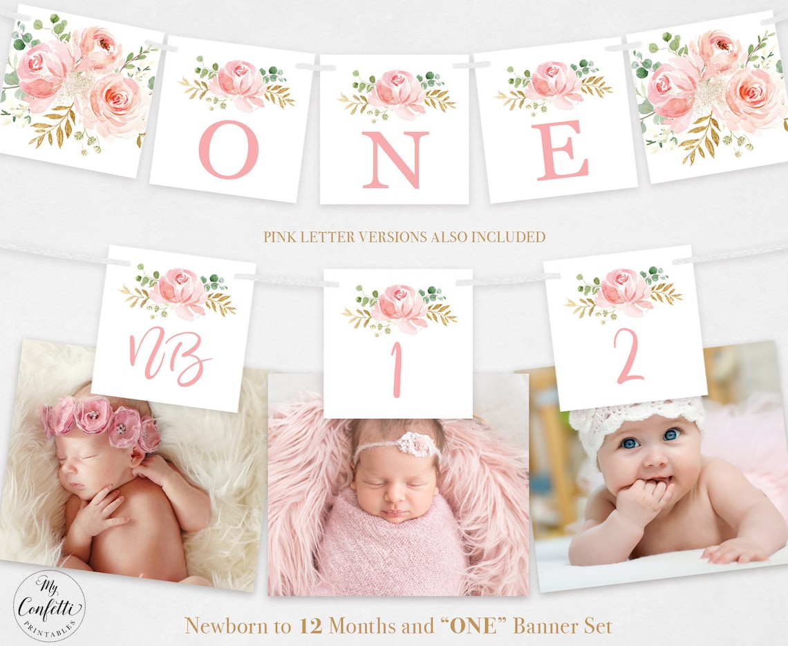 Baby Milestone Banner Set Newborn to 12 Months Banner | Etsy