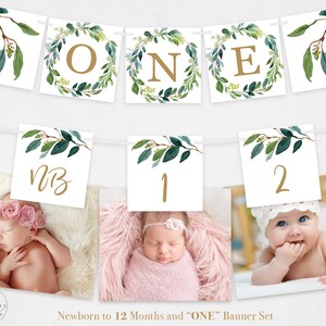 Printable Baby Milestone Banner Set, Newborn to 12 Months Banner, "one ...