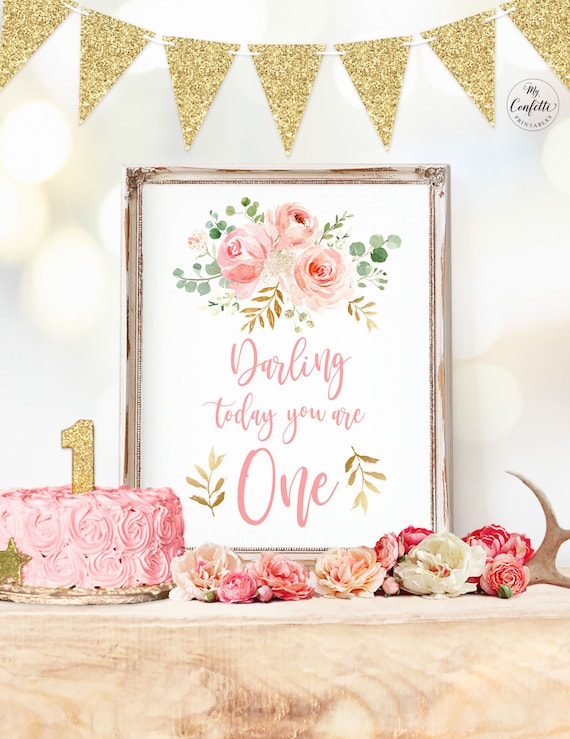 DC154 One year Sign First Birthday Sign 24x36 Facts Sign Milestone 1st ...