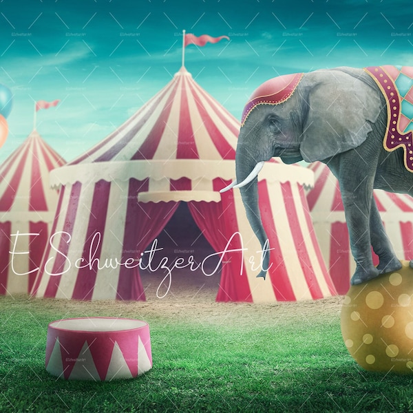 Circus Frames - Etsy