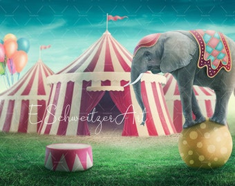 Vintage Stage Backdrop - Etsy