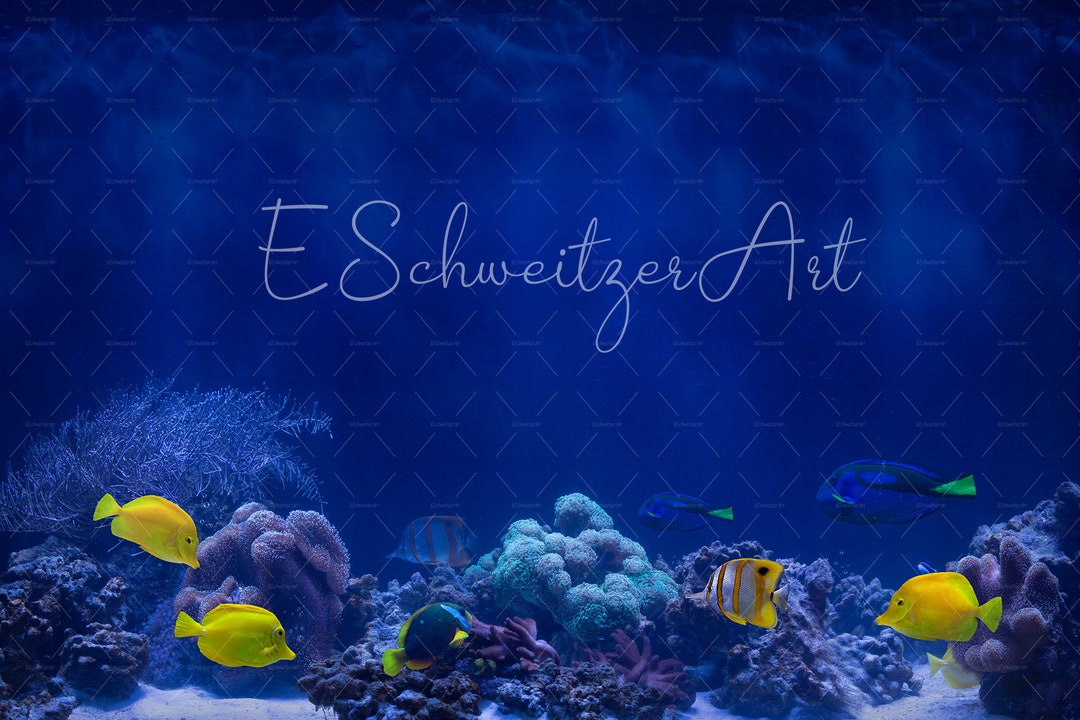 Magic Underwater Backdrop for Photography Composites. Water Background ...