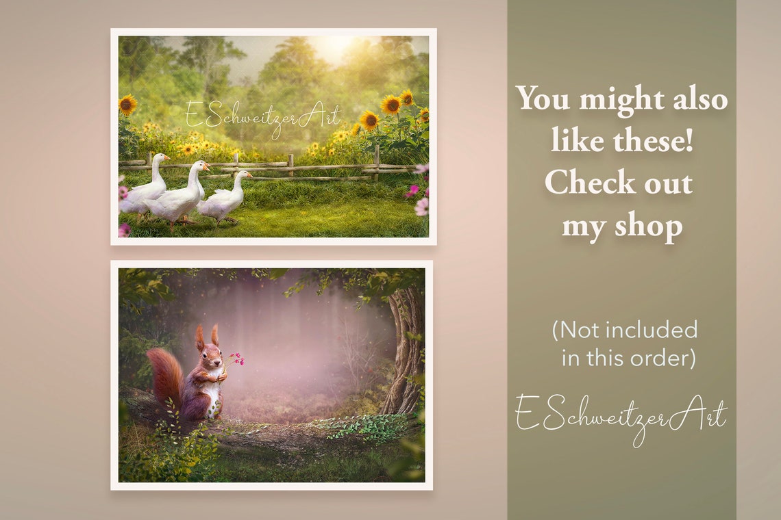 Sunflower Field Digital Backdrop for Photographers. Instant Download ...