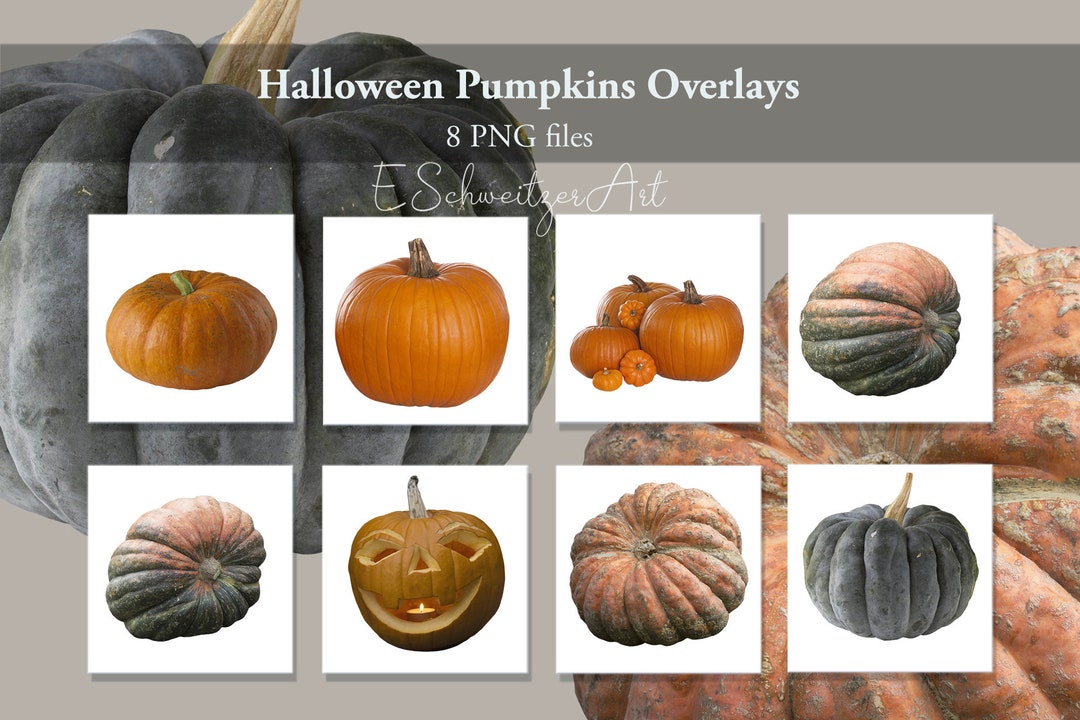 Halloween Pumpkins Pumpkin Overlays for Photo Composites. PNG Files ...