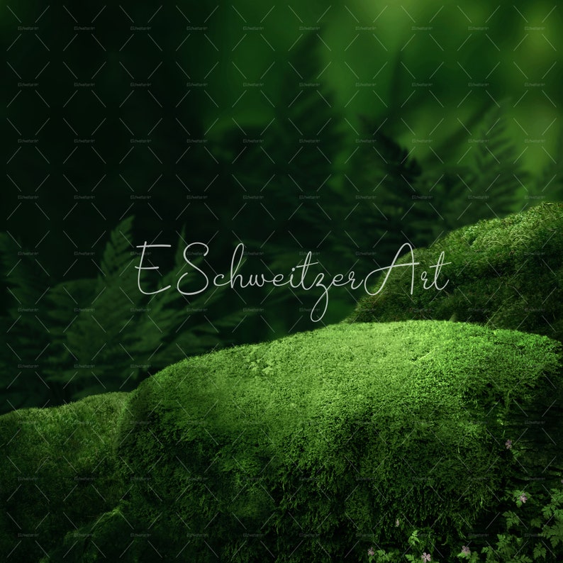 Enchanted Forest Background. Digital Magical Backdrop With - Etsy