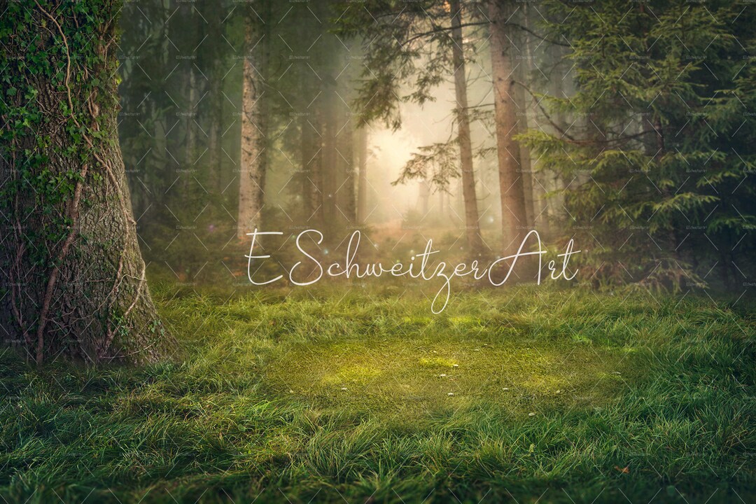 Enchanted Wood. Magic Forest. Meadow Copy Space. Digital Download ...
