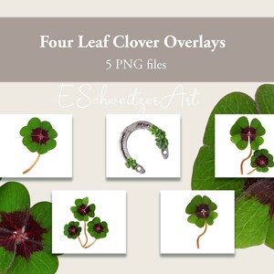 5 PACK. Four Leaf Clover Overlays. 5 PNG Files Isolated Transparent ...