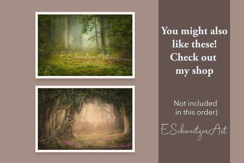 Enchanted Forest Background. Digital Magical Backdrop With - Etsy