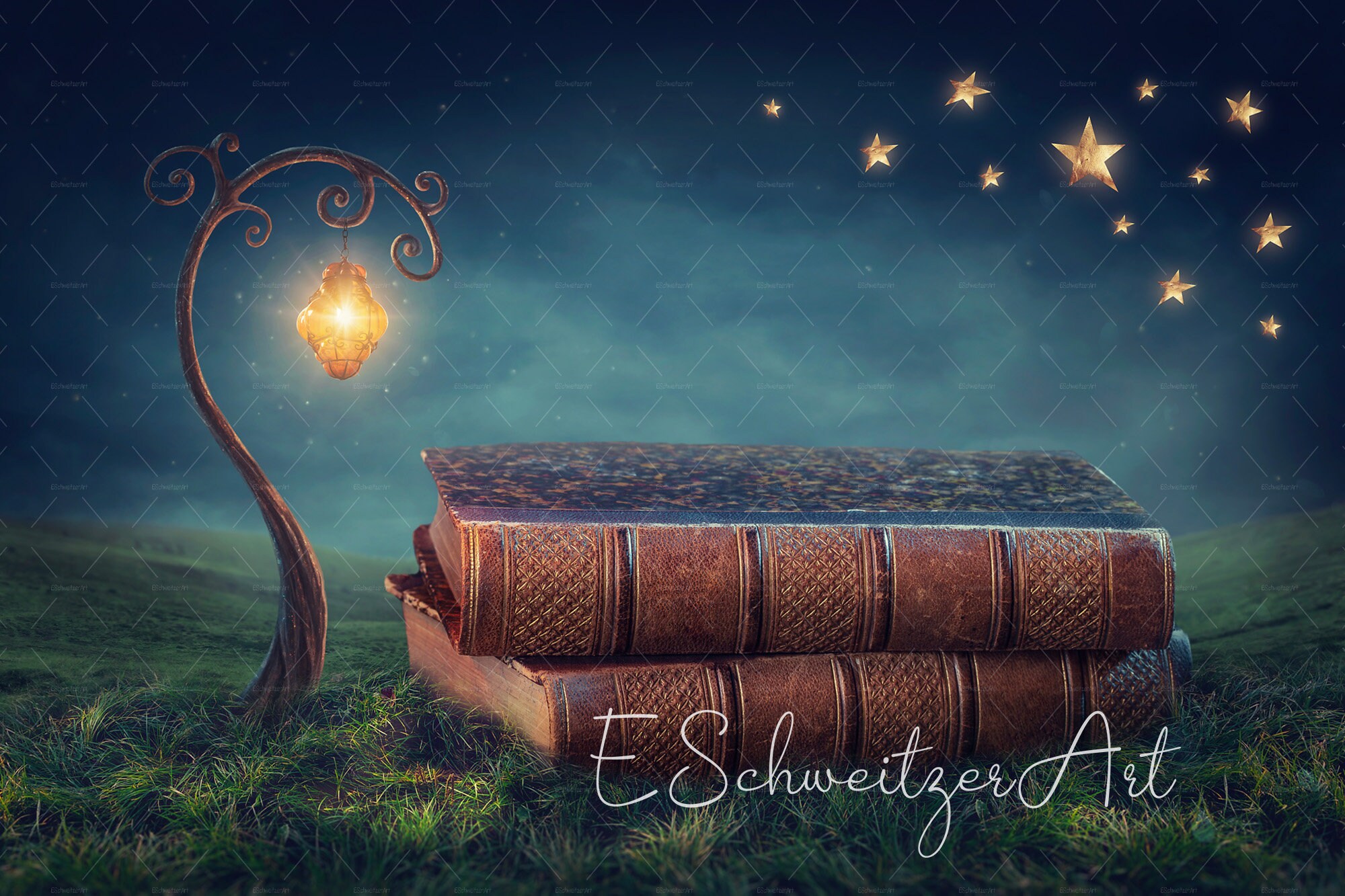 2 PACK Magic Books and Lantern Digital Backdrop for Photographers ...