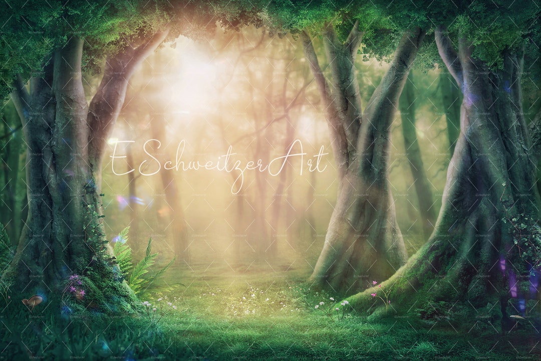 Abstract Nature Background Copy Space. Enchanted Forest Background ...