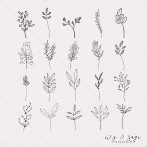 Flower Clipart | Fall Line Art | Wedding Clipart | Hand Drawn Botanical ...