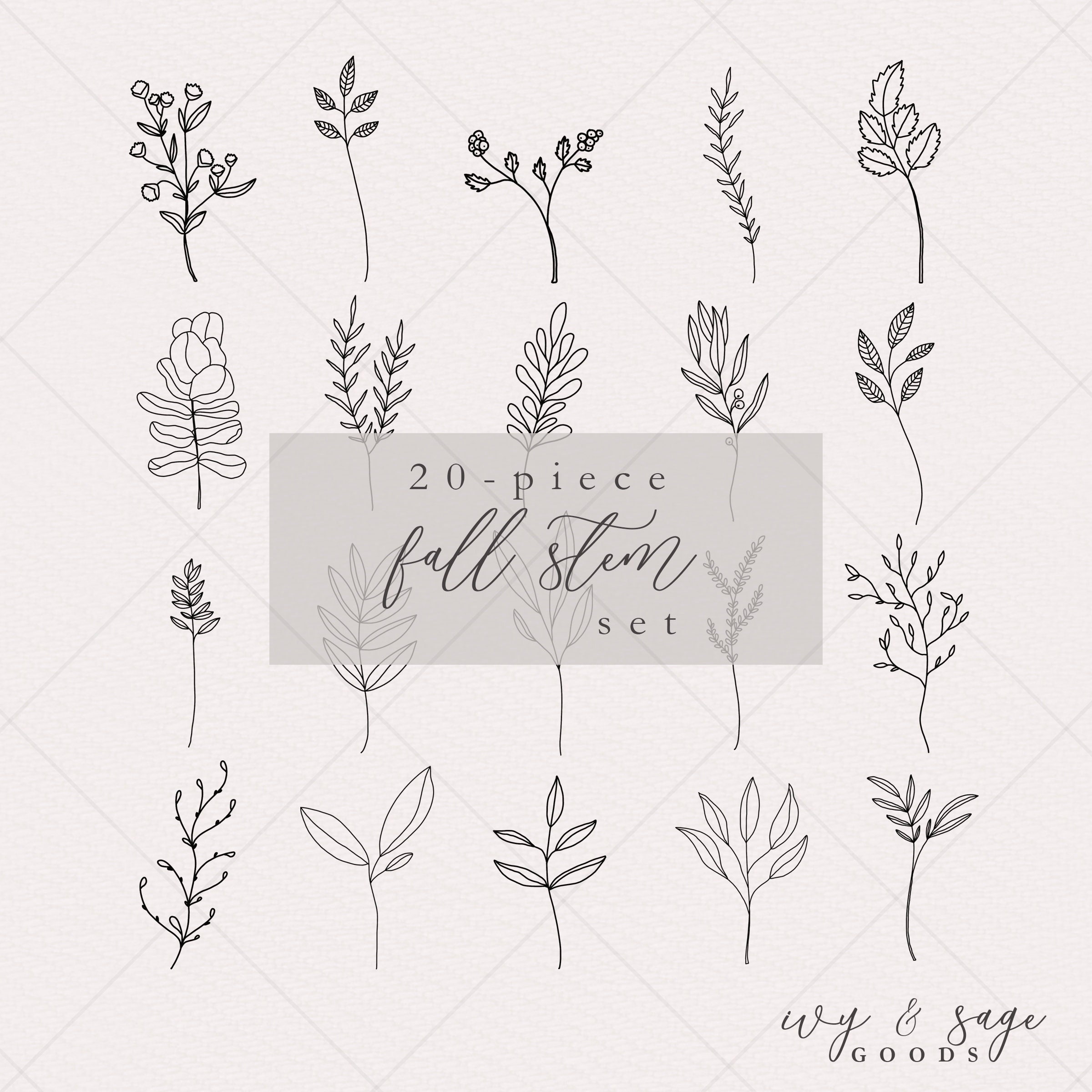 Flower Clipart | Fall Line Art | Wedding Clipart | Hand Drawn Botanical ...