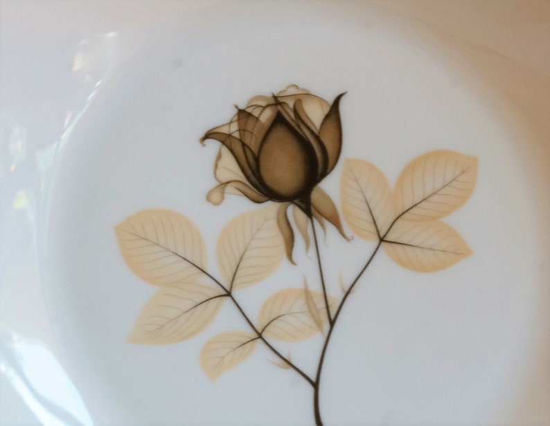 Set 5 Rosenthal SHADOW ROSE Salad Plates - Etsy