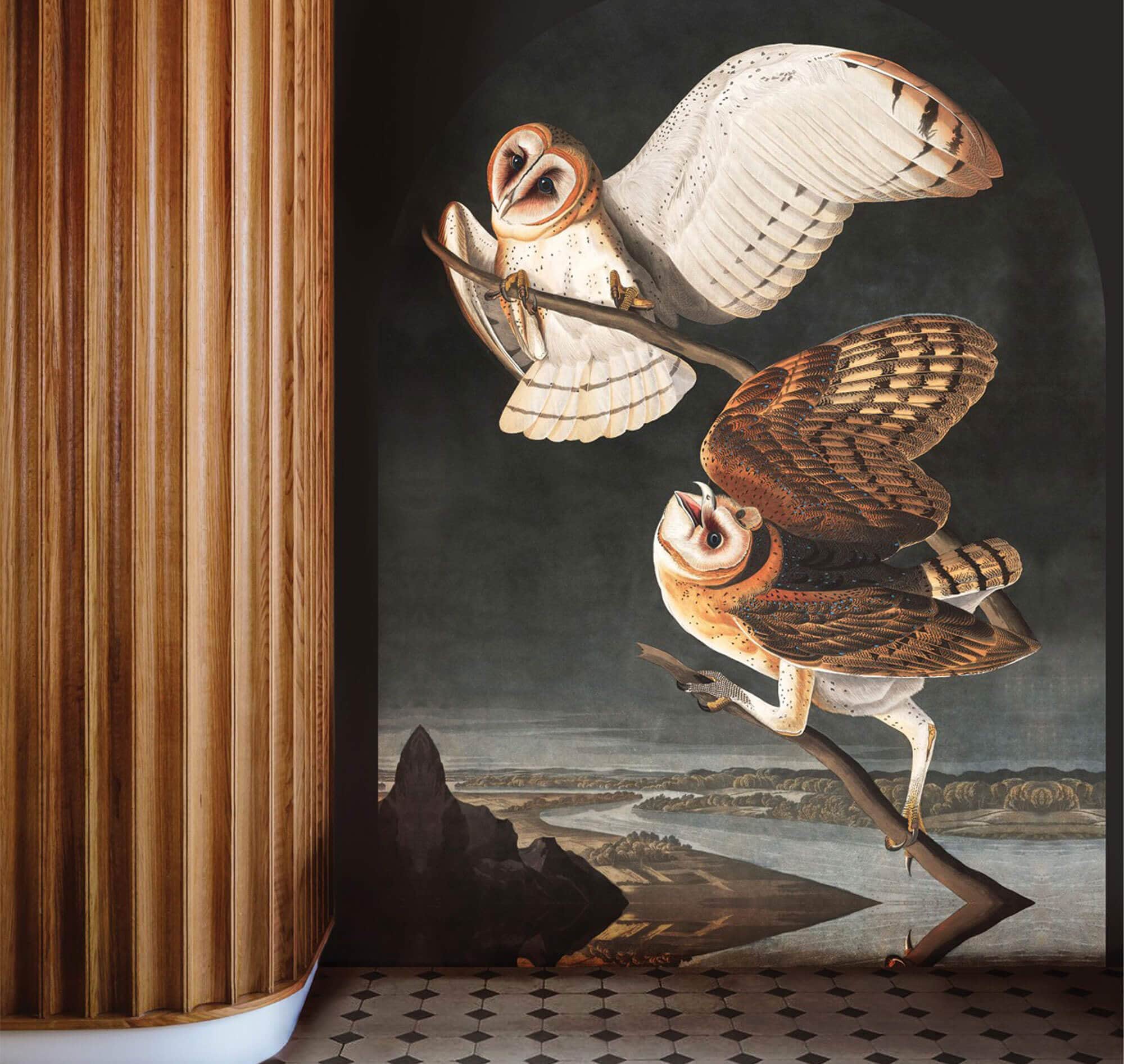 Owl Background Vintage
