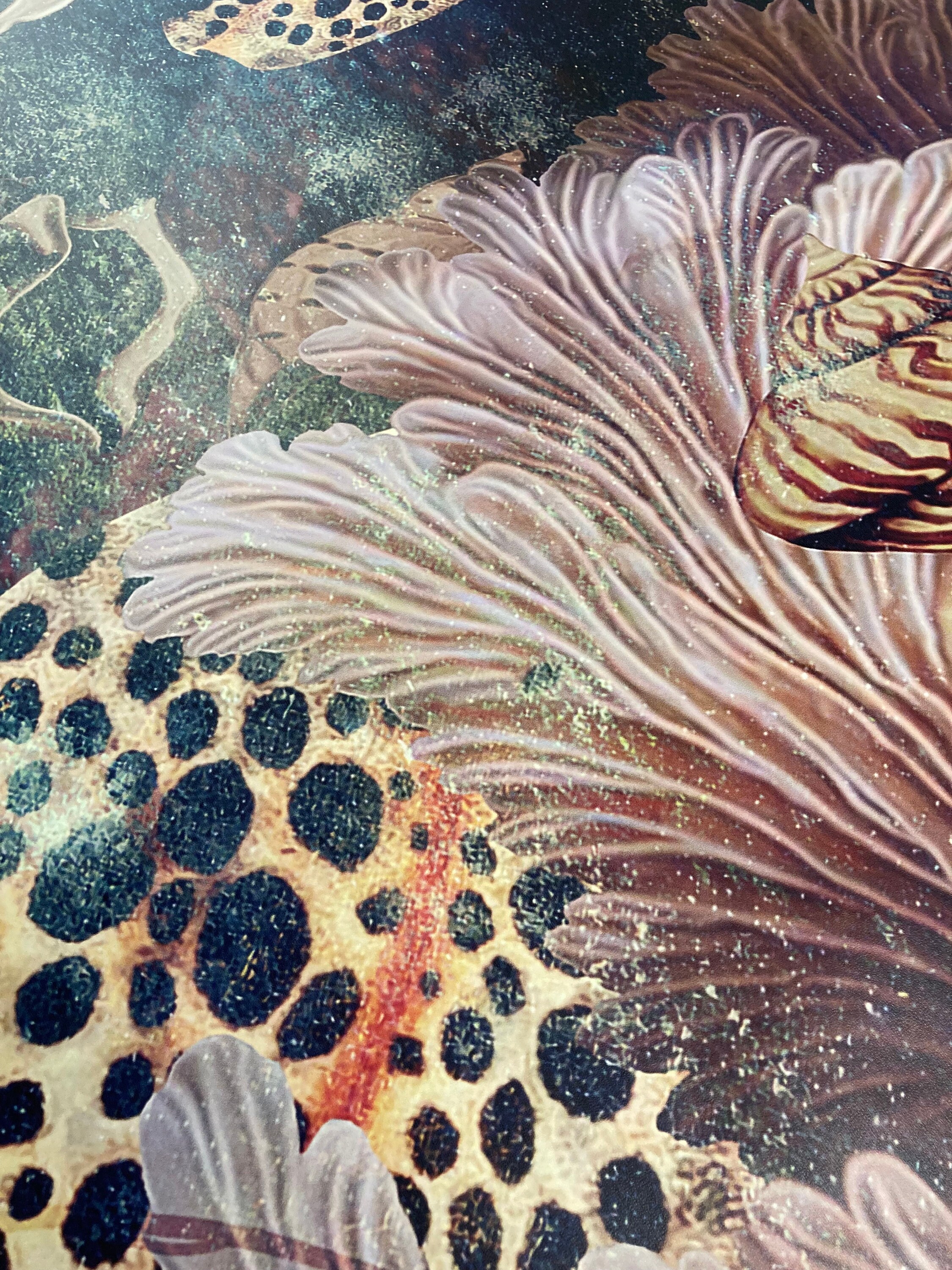 Magic Coral Reefs wallpaper ocean sea life underwater world | Etsy