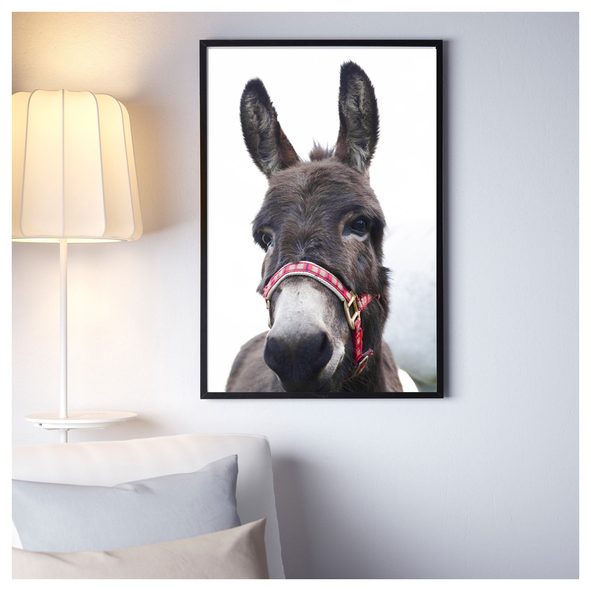 Donkey Print. Donkey Poster. Donkey Wall Art. Animal Portraits. Colour ...