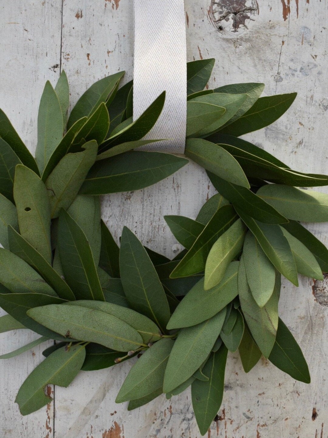 Mini Fresh Bay Wreath - Etsy