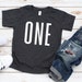 First Birthday Shirt Birthday Shirt One Shirt Boy - Etsy