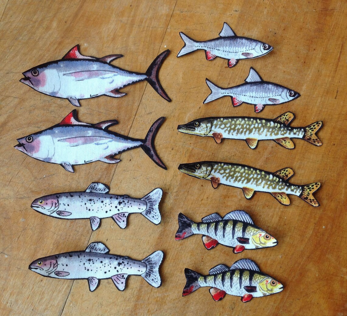 10 Freshwater Painted Fish Iron-on Cotton Fabric Appliques for DIY ...