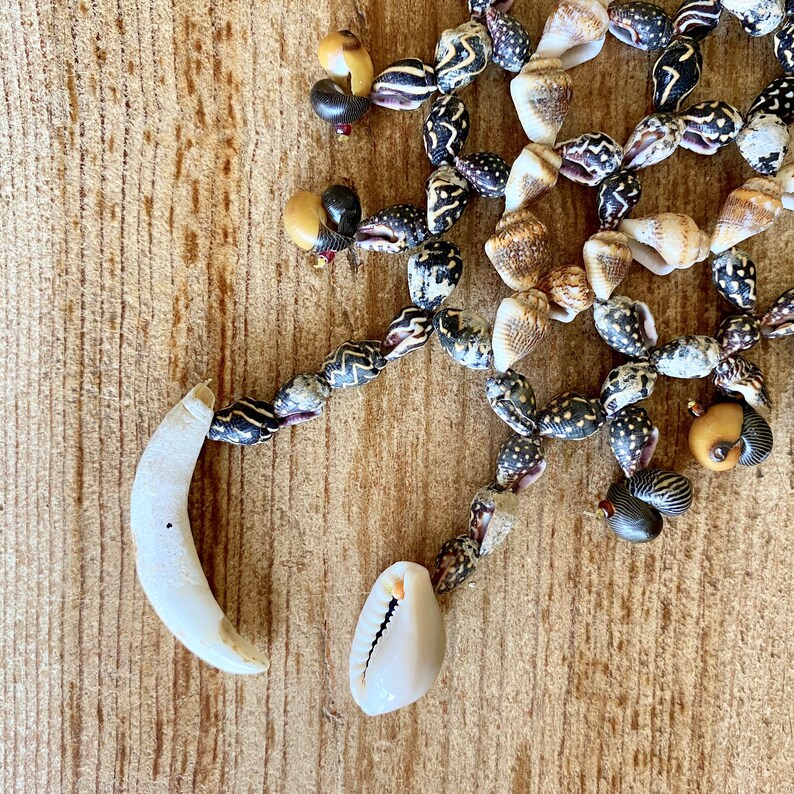 Vintage Sepik Papua New Guinea Shell Necklace - Pectoral Tribal ...