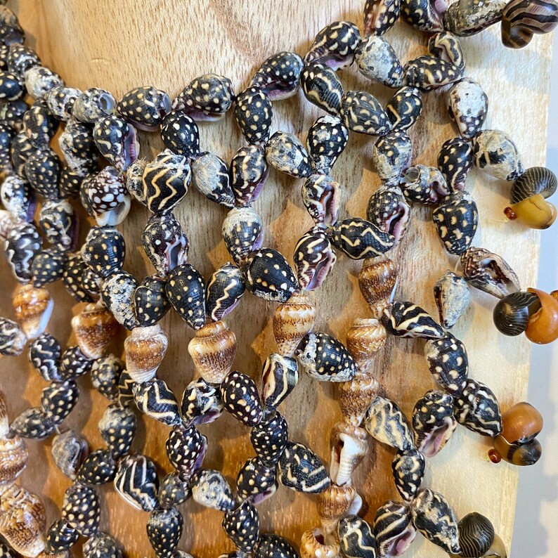 Vintage Sepik Papua New Guinea Shell Necklace Pectoral - Etsy