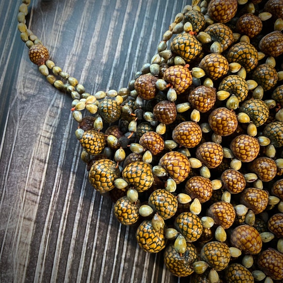 Rare South East Asian Rattan Fruit Pods And Seeds Han… - Gem