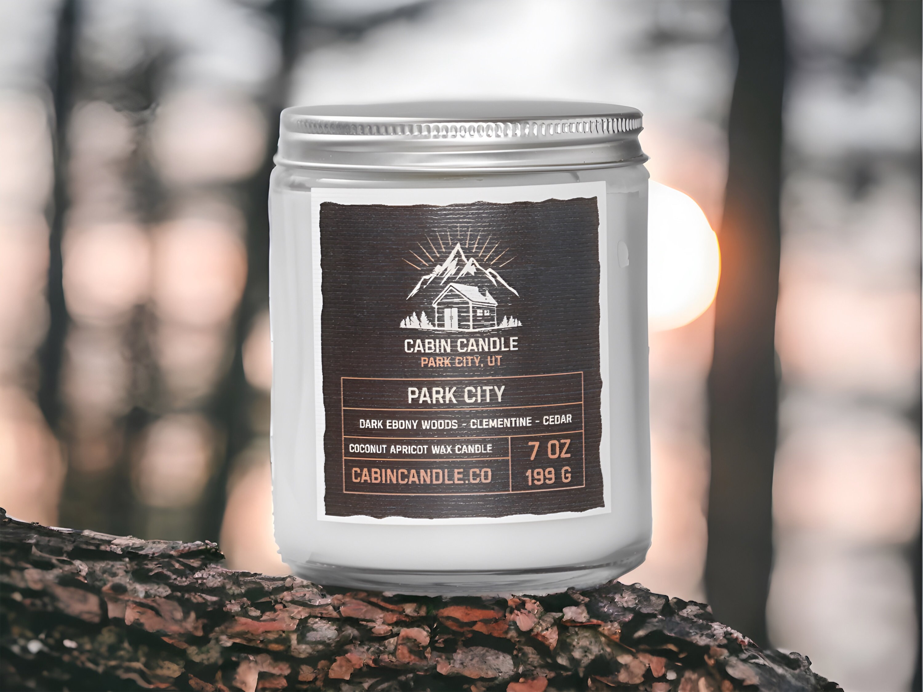 Park City Scented Candle in Container 7oz Utah Candle Pine & Fir ...