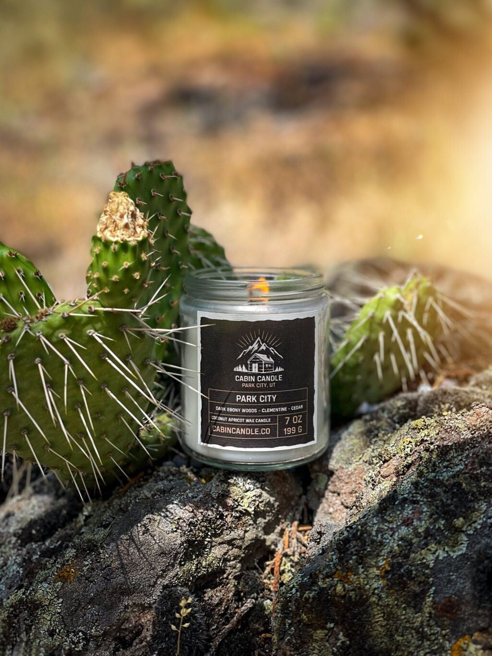Park City Scented Candle in Container 7oz - Utah Candle - Pine & Fir ...