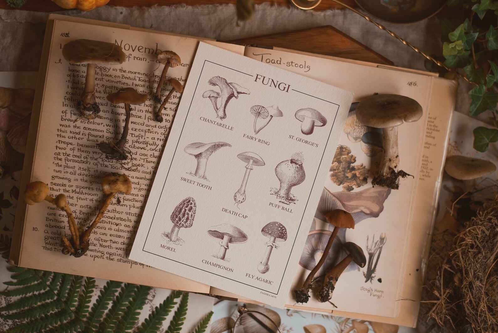 Vintage Style Poster, Fungi Art Print, Mushroom Wall Decor, Kitchen ...