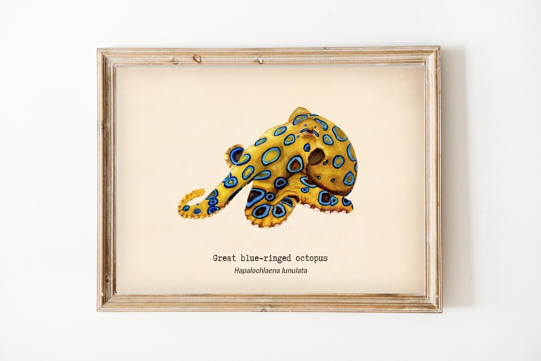 Octopus Poster, Marine Biology Art Print, Sea Wall Decor, Blue-ringed ...