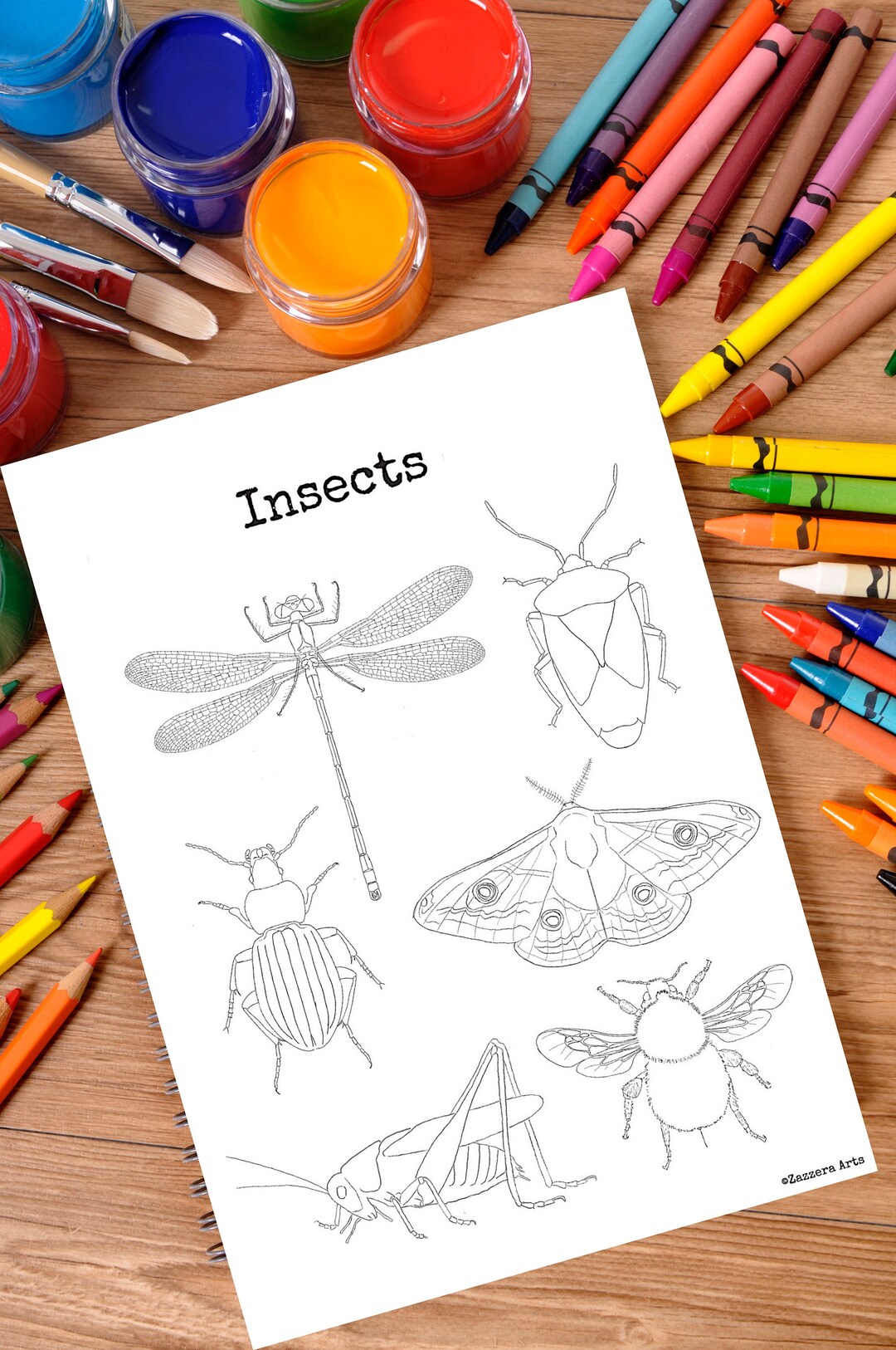 Insect Coloring Book, Educational Coloring Sheets, Instant Download ...