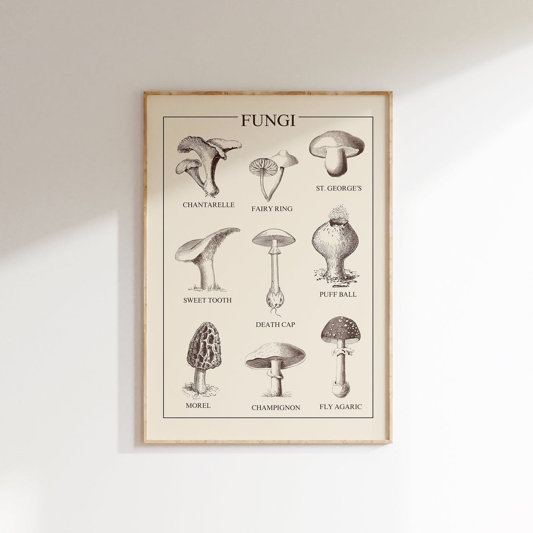 Vintage Style Poster, Fungi Art Print, Mushroom Wall Decor, Kitchen ...