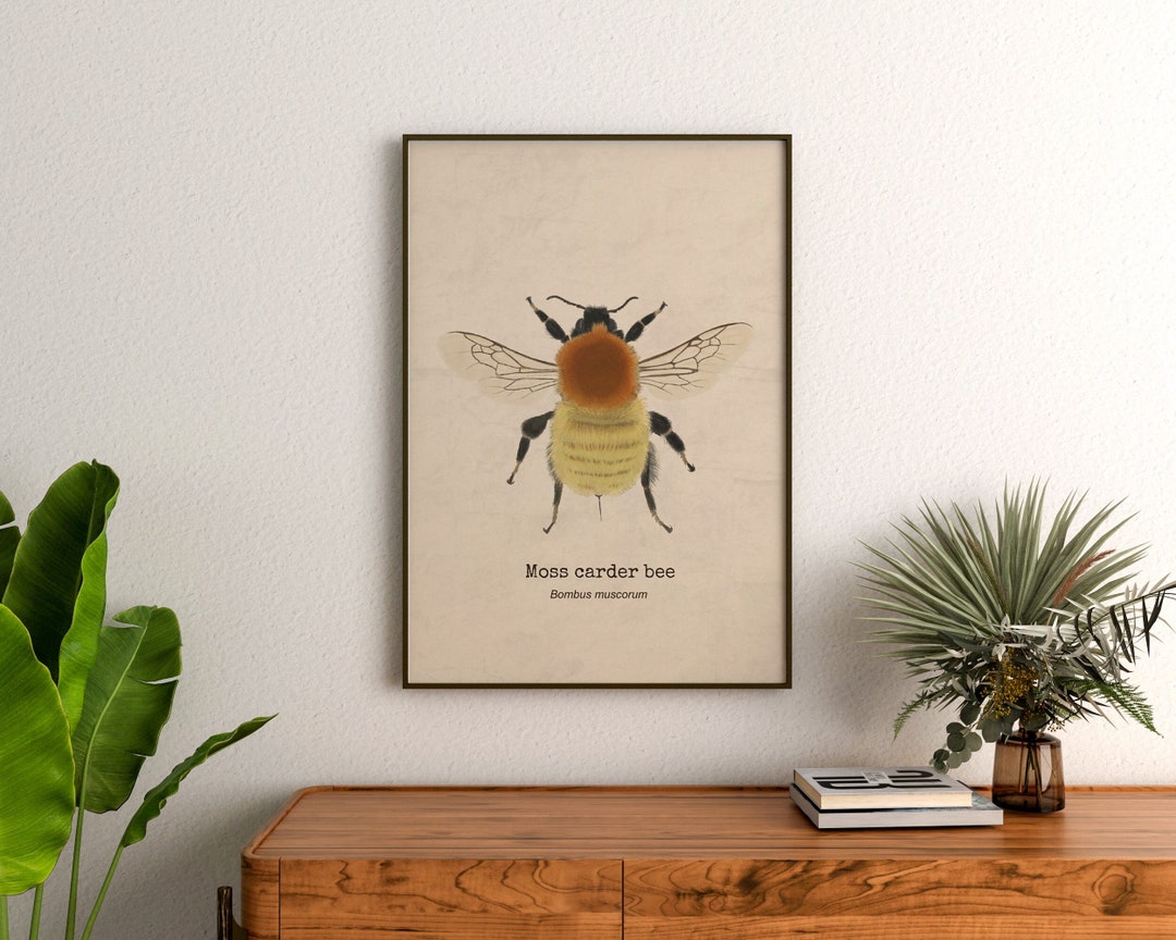 Bumble Bee Art Print, Bee Watercolour, Insect Illustrations ...