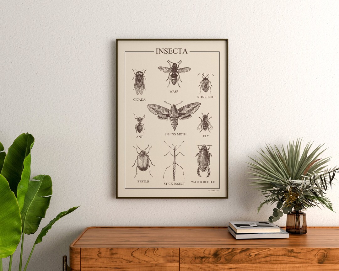 Vintage Style Poster, Insect Art Print, Entomology Wall Decor, Study ...