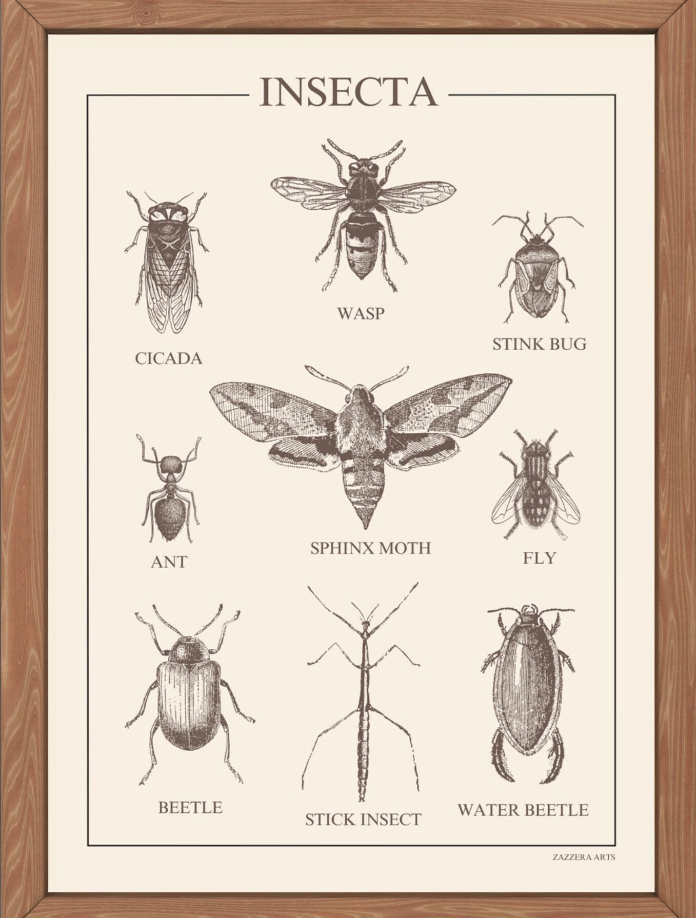 Vintage Style Poster, Insect Art Print, Entomology Wall Decor, Study ...