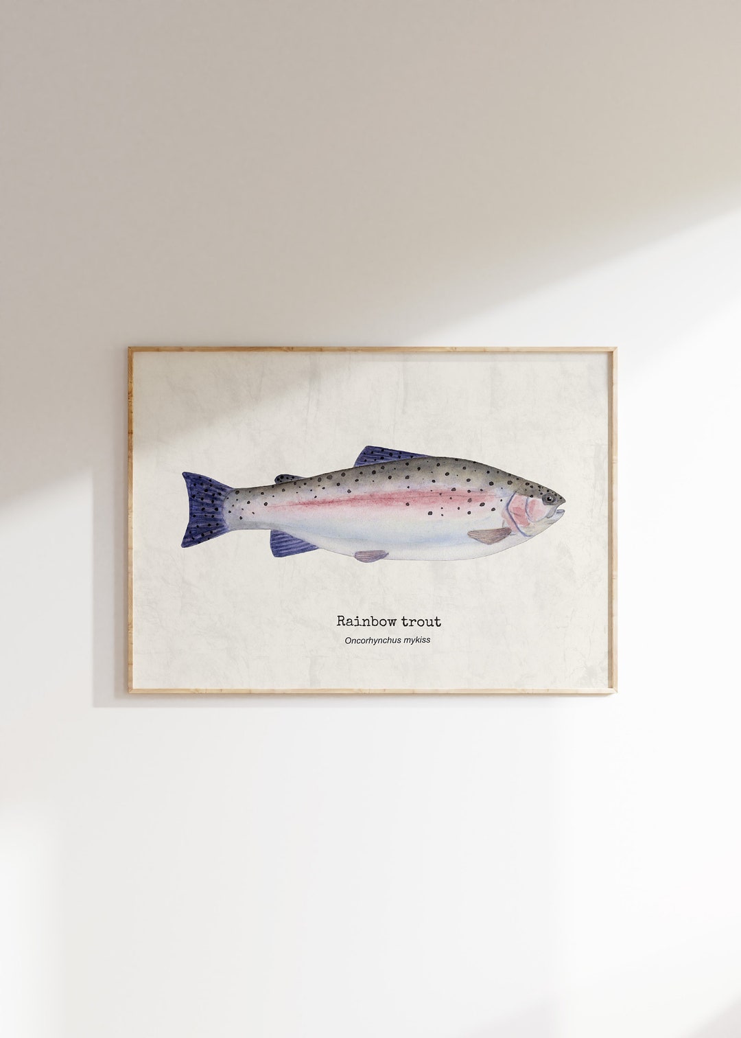 Rainbow Trout Art Print, Fish Watercolour, Marine Illustrations, Fish ...