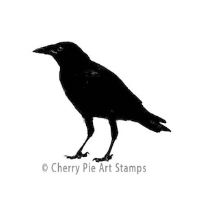 RAVEN, Crow Silhouette- Cling Rubber STAMP for Acrylic Block L321 - Etsy