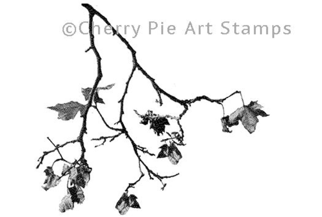 Autumn Tree Branch- Fall Season - Scenic Cling Rubber Stamp P433 - Etsy
