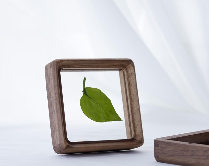 MOON- HSH Solid Walnut Photo Frame, Size From 4" to 10", Transparent ...