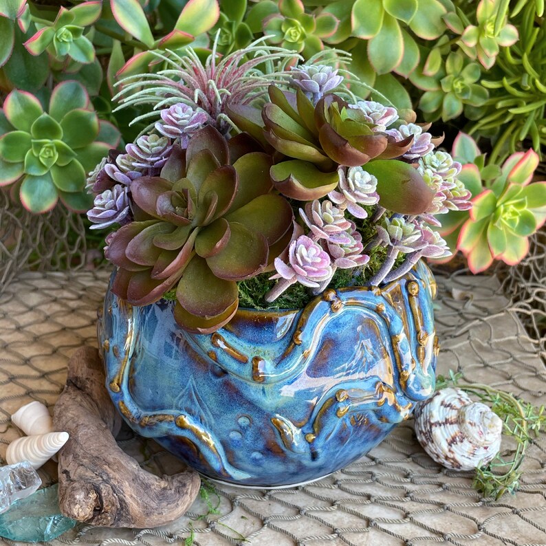 Octopus Faux Succulent Planter Pottery // Plant Bowl Ceramic - Etsy
