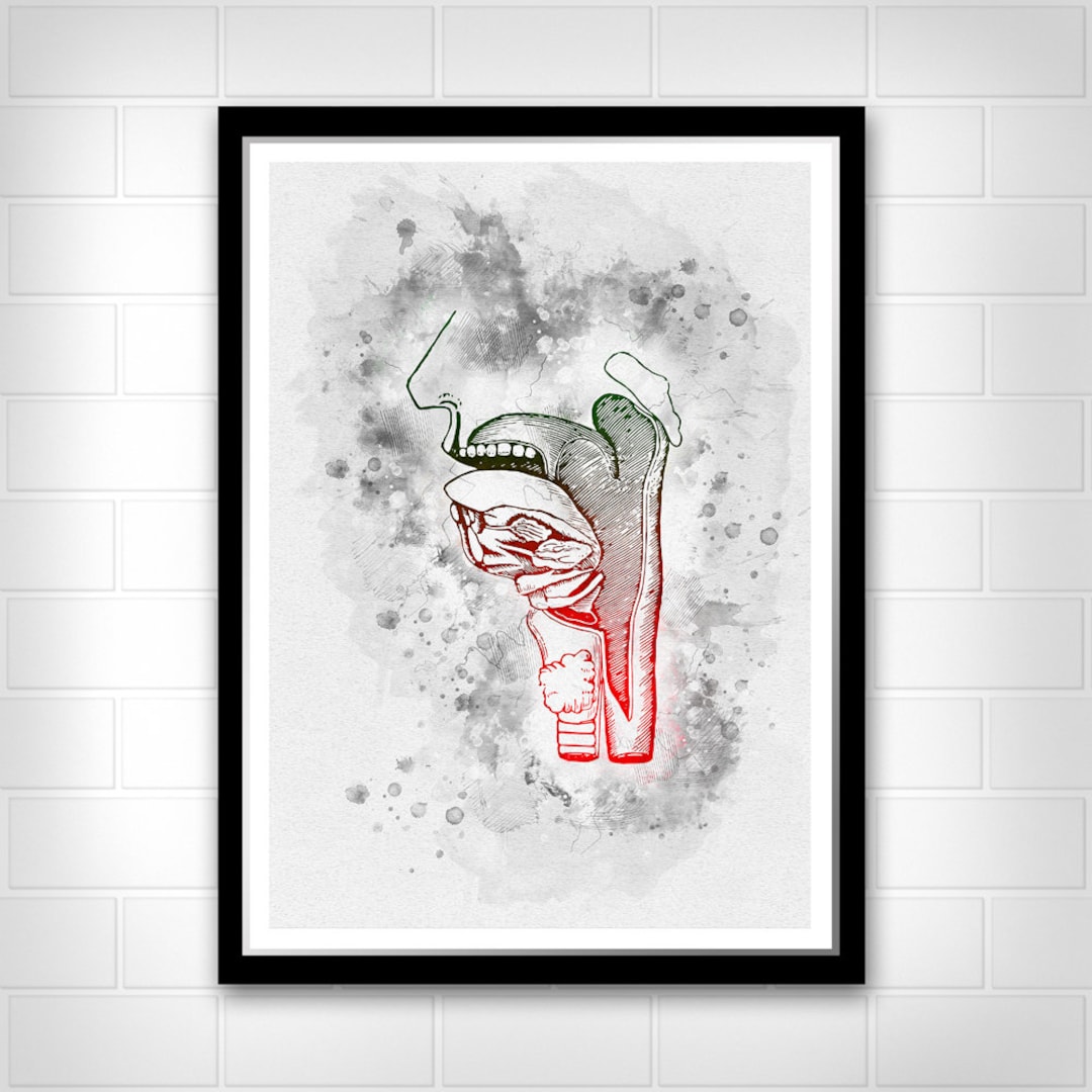 Throat Human Anatomy ENT Art Watercolor Wall Decor - Etsy