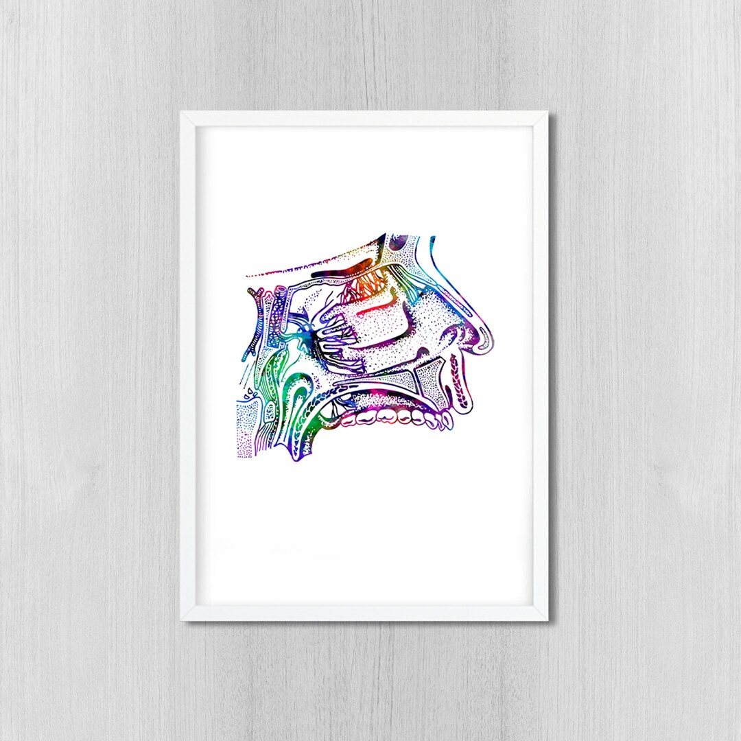 Watercolor Art Nasal Cavity Poster Addition to Otolaryngologist Office ...