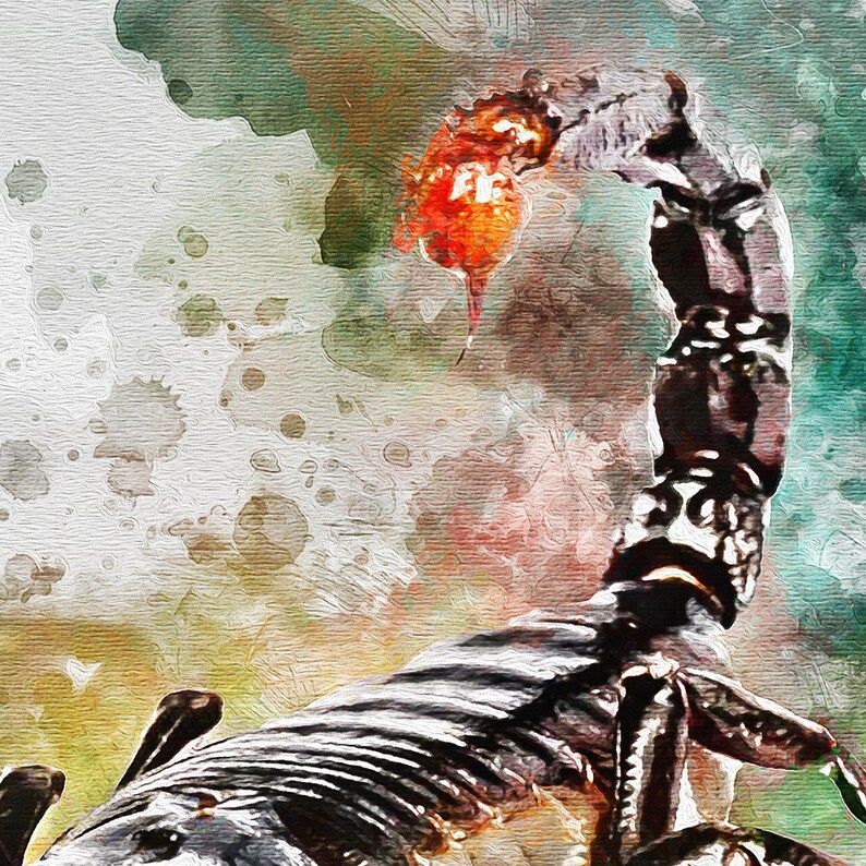 Scorpion Print Watercolor Wall Art Poster Room Office Decor - Etsy