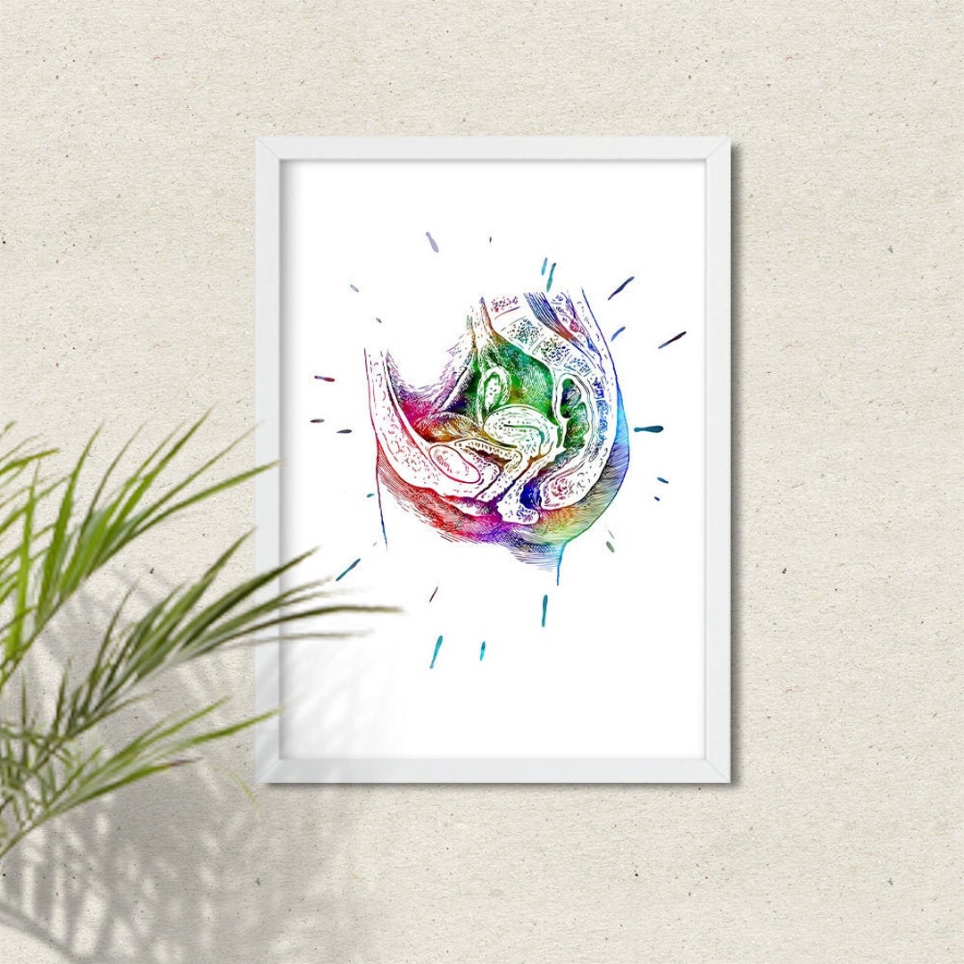 Female Reproductive System Art Print Gynecologist Office Watercolor ...